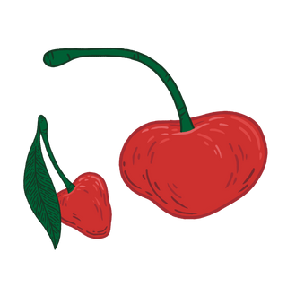 Join Us Rescuing Perfectly Imperfect Cherries! – Farmers Pick